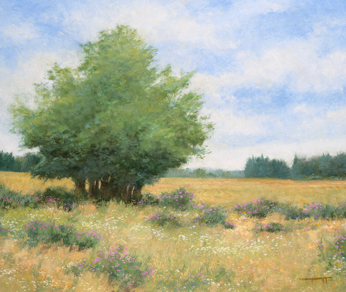 Don Bishop - ART Elements Gallery