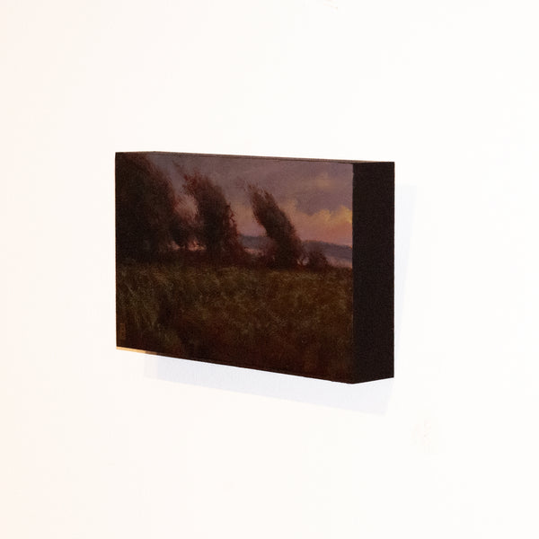 Bending Branches - ART Elements Gallery