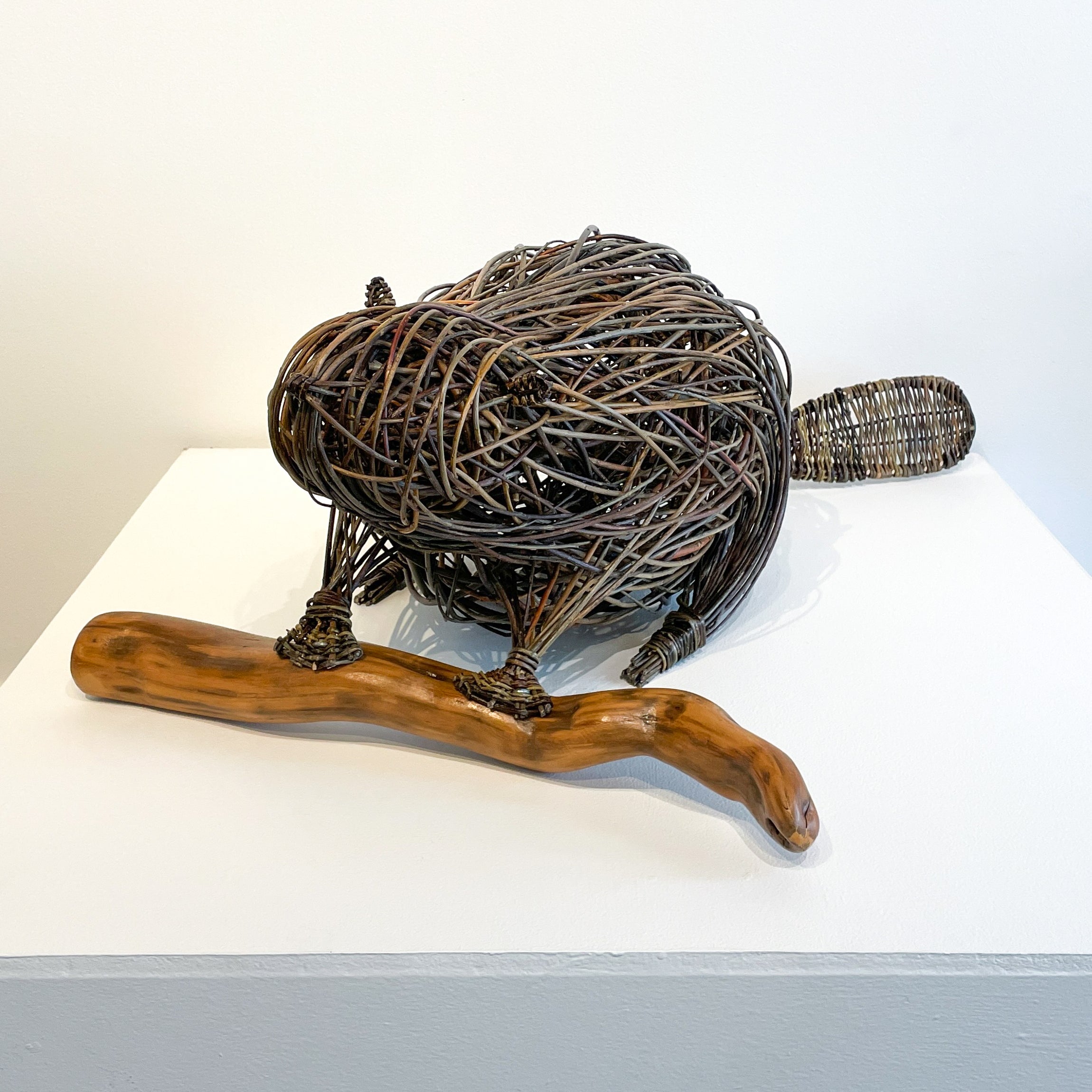 Scampering Beaver - ART Elements Gallery