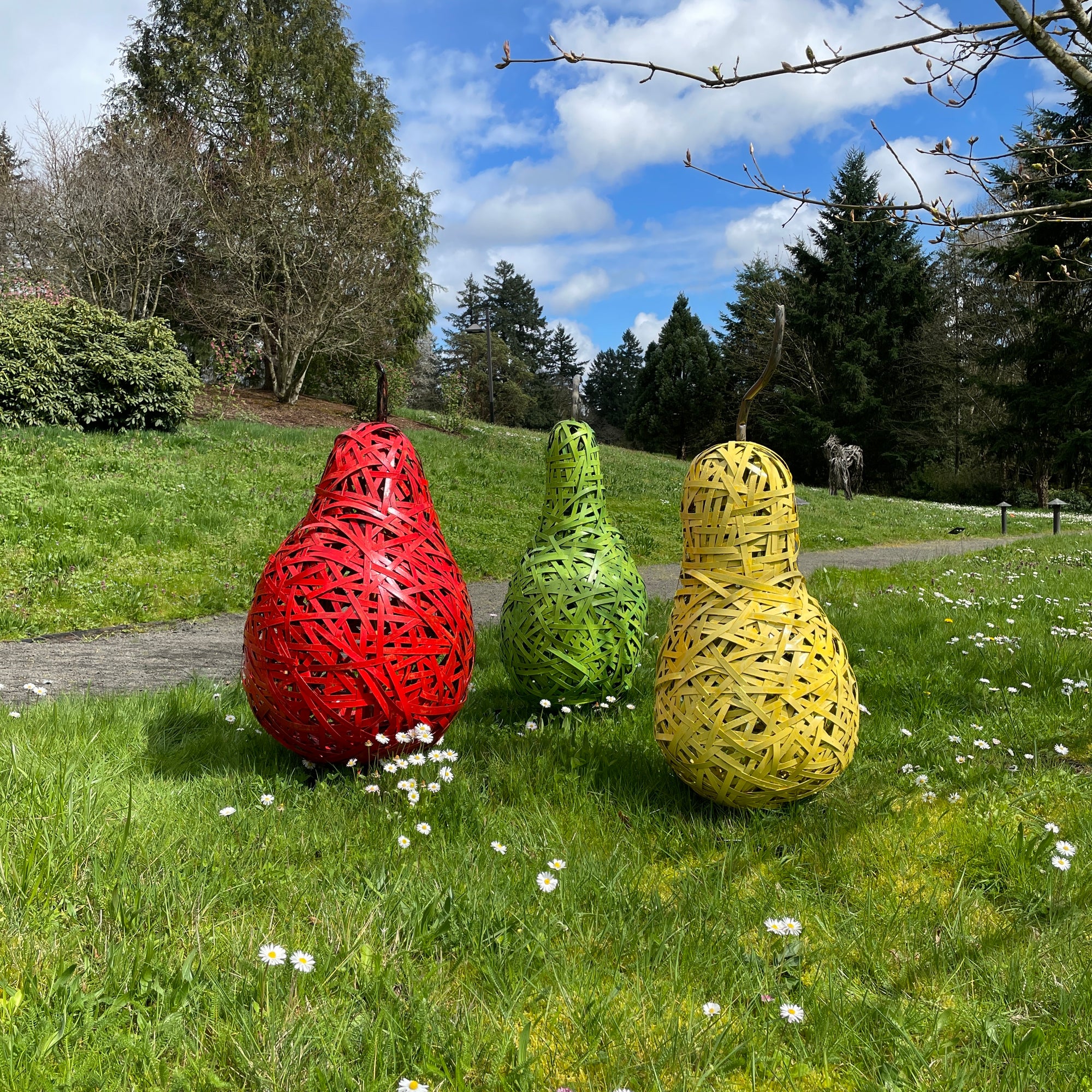 Pear Trio - ART Elements Gallery